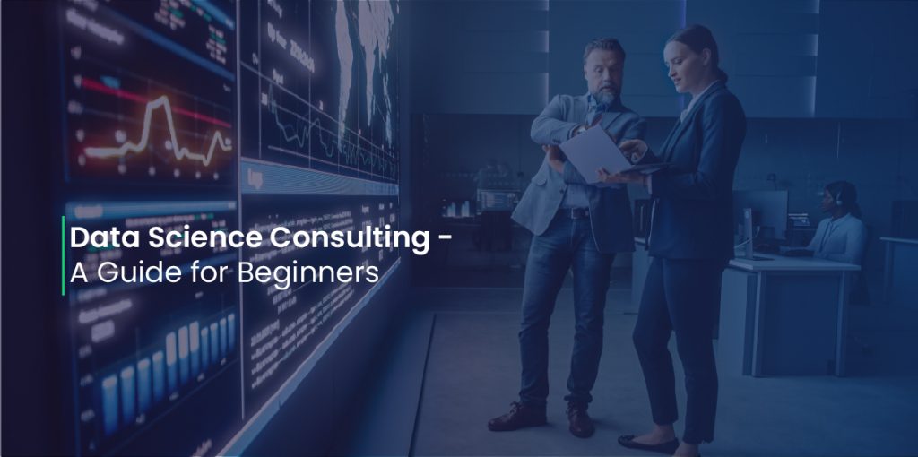 Data Science Consulting - A Guide for Beginners